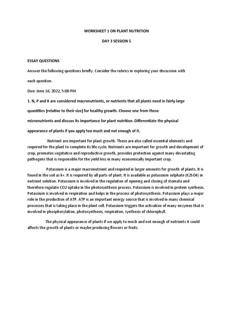 Plant Nutrition Worksheet and Guide | PDF | Plant Nutrition | Nutrients