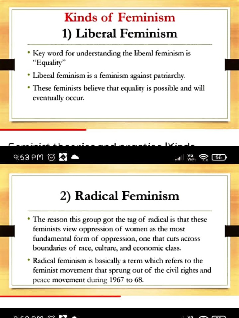 Kinds of Feminism Explained | PDF