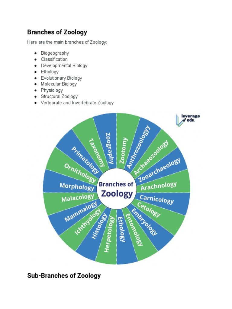 Branches of Zoology PDF | PDF | Zoology | Organisms