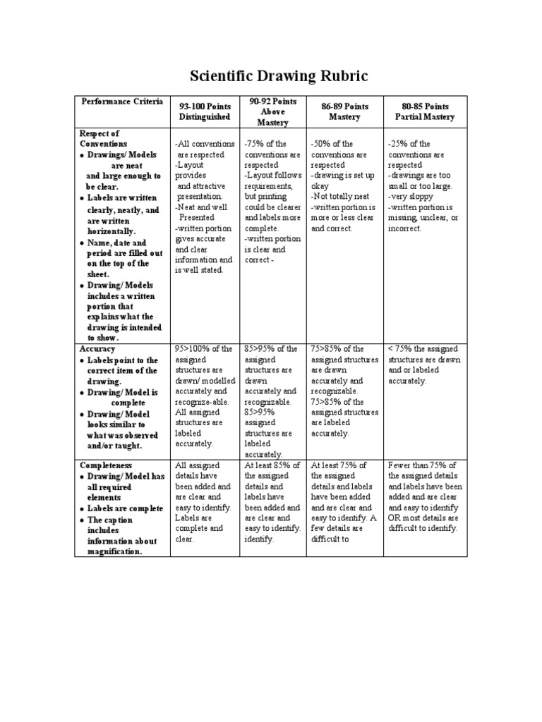 Scientific Drawing Rubric | PDF | Drawing