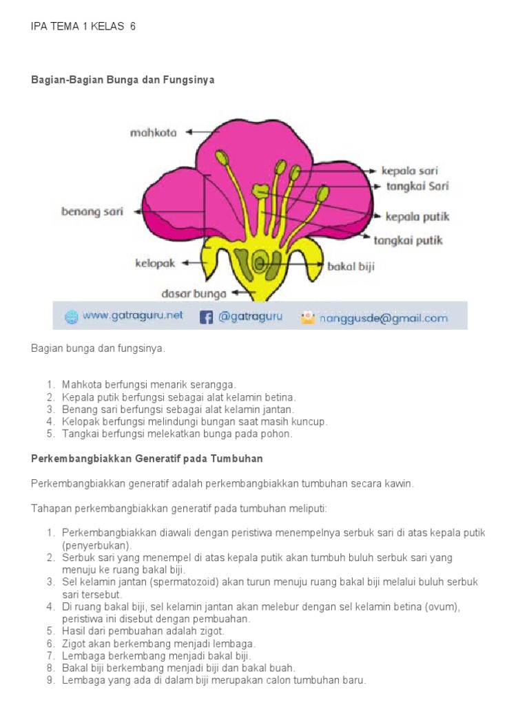 Ipa Tema 1 Kelas 6 | PDF