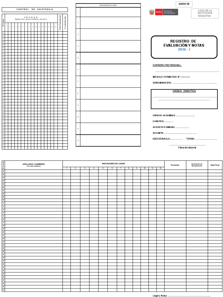Anexo 3b Registro de Evaluacion y Notas | PDF