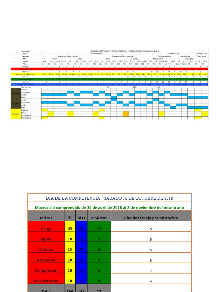 Macrociclo Ejemplo | PDF