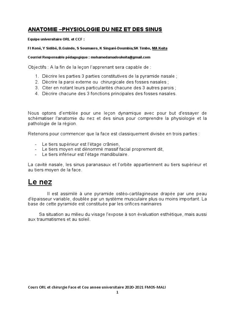 Anatomie Du Nez Et Des Sinus de La Face | PDF | Épithélium ...