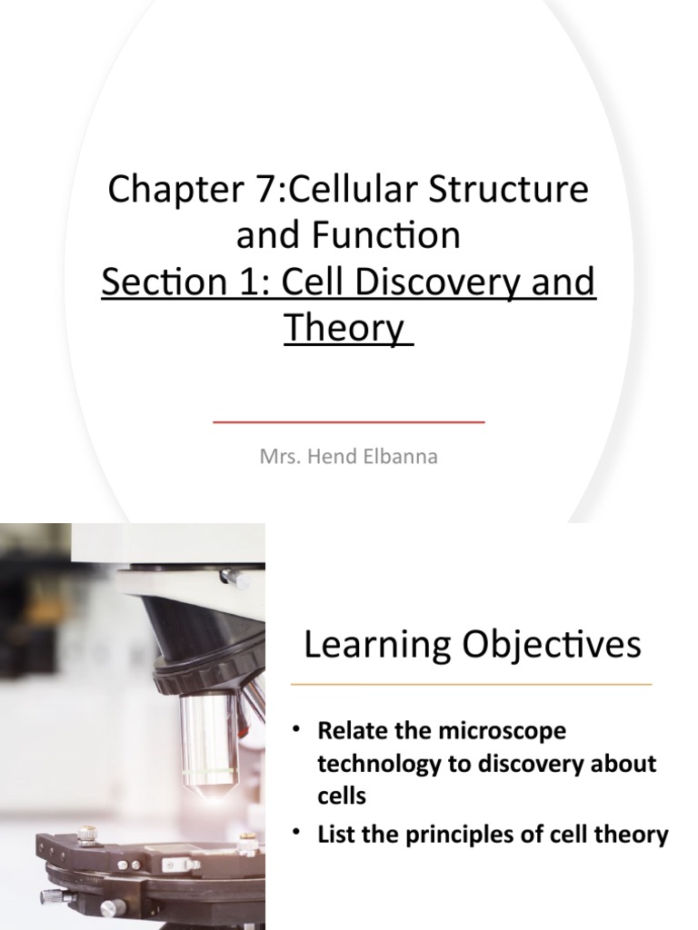 Cell Discovery and Theory | PDF | Cell (Biology) | Microscope