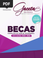 Lineamientos Beifi | PDF