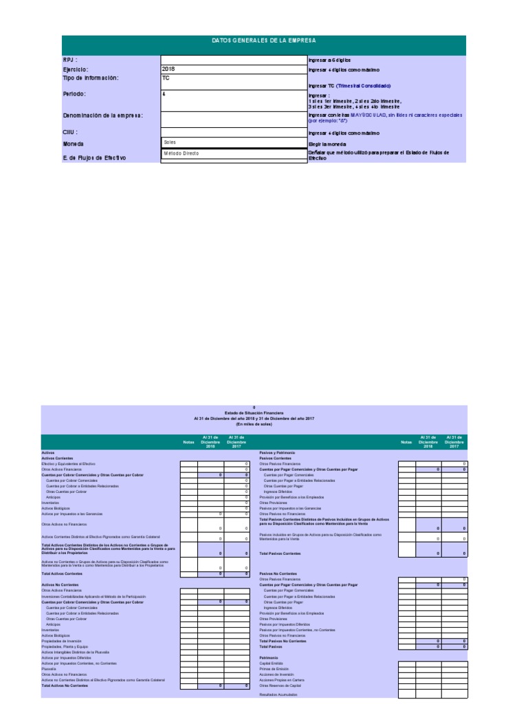 Formatos de Los EEFF | PDF