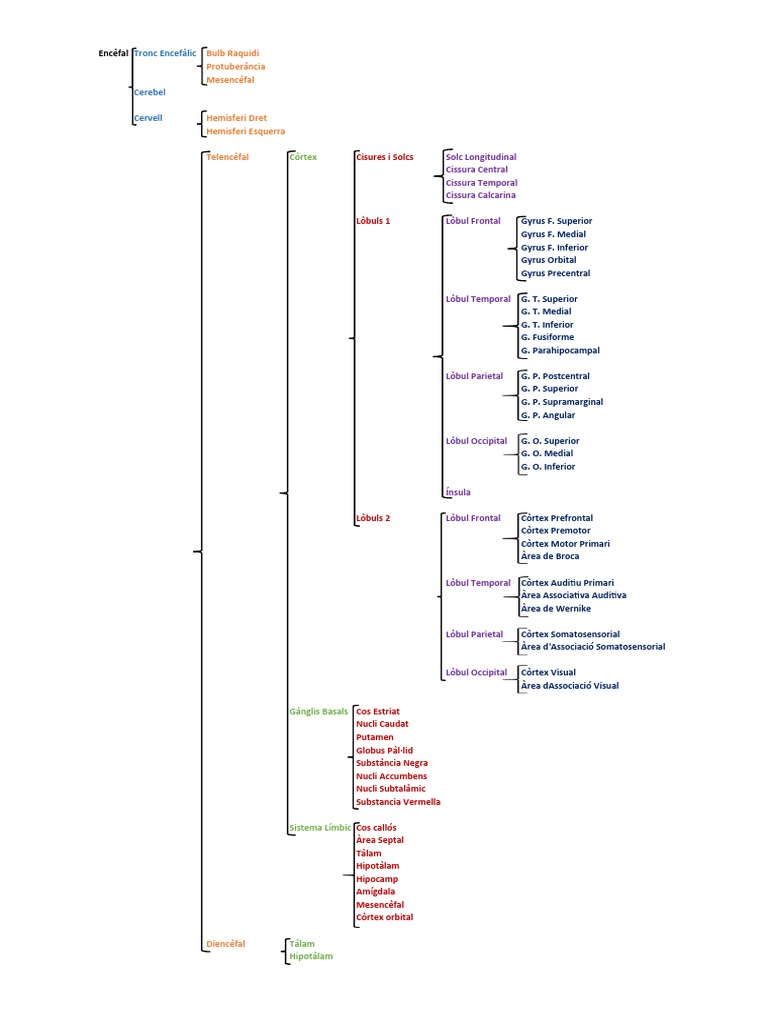 Esquema ENCÈFAL | PDF