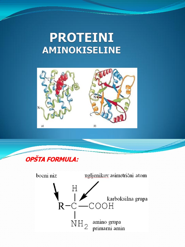 Proteini | PDF