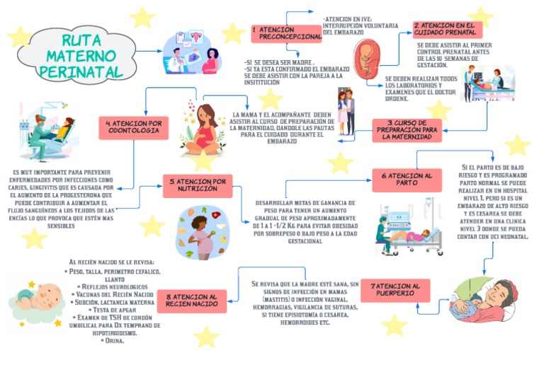 Ruta Materno Perinatal | PDF | Desarrollo humano | Salud maternal