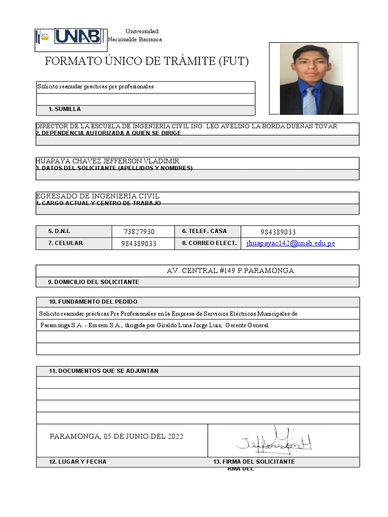 Fut - Solicitud de Practicas Pre - Profesionales | PDF