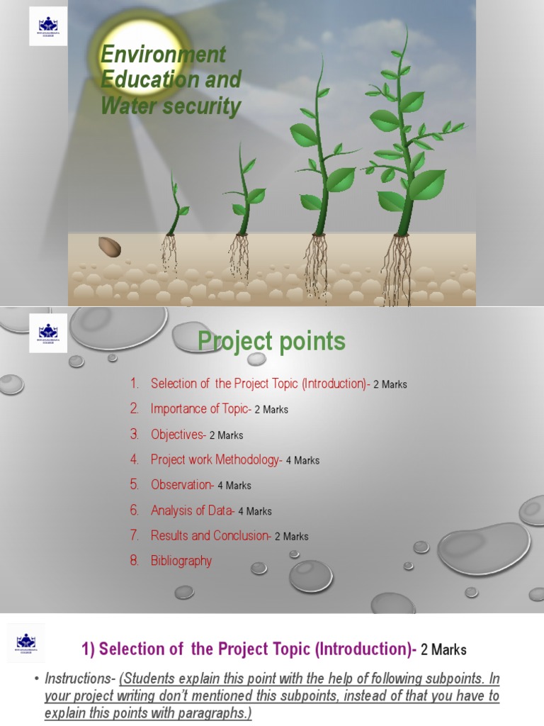 11th Project Point-How To Write Project | PDF | Air Pollution | Atmosphere Of Earth