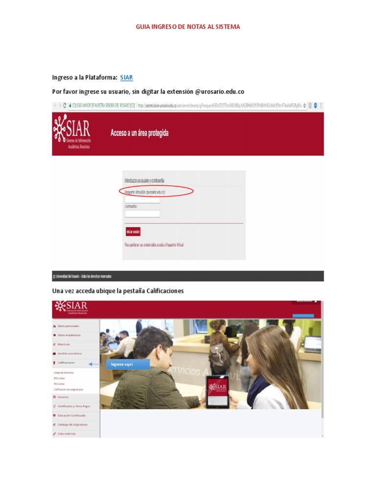Guía para Ingreso de Notas en SIAR | PDF | Informática | Software