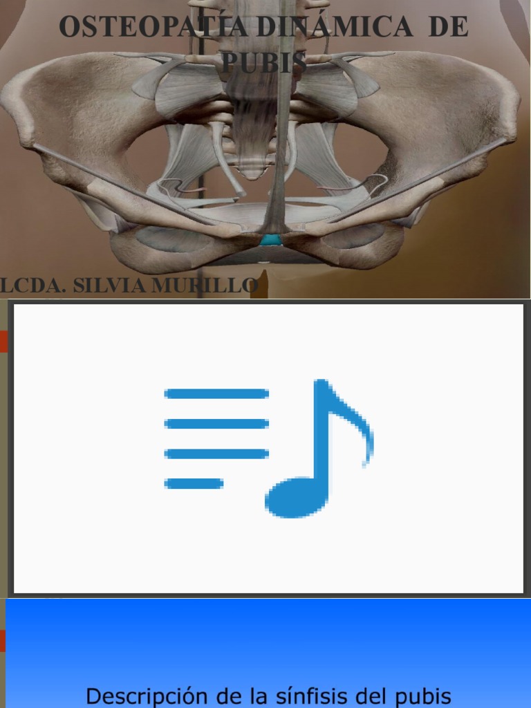 Osteopatía Dinamica de Pubis-Pubalgia | PDF | Abdomen | Terapia física