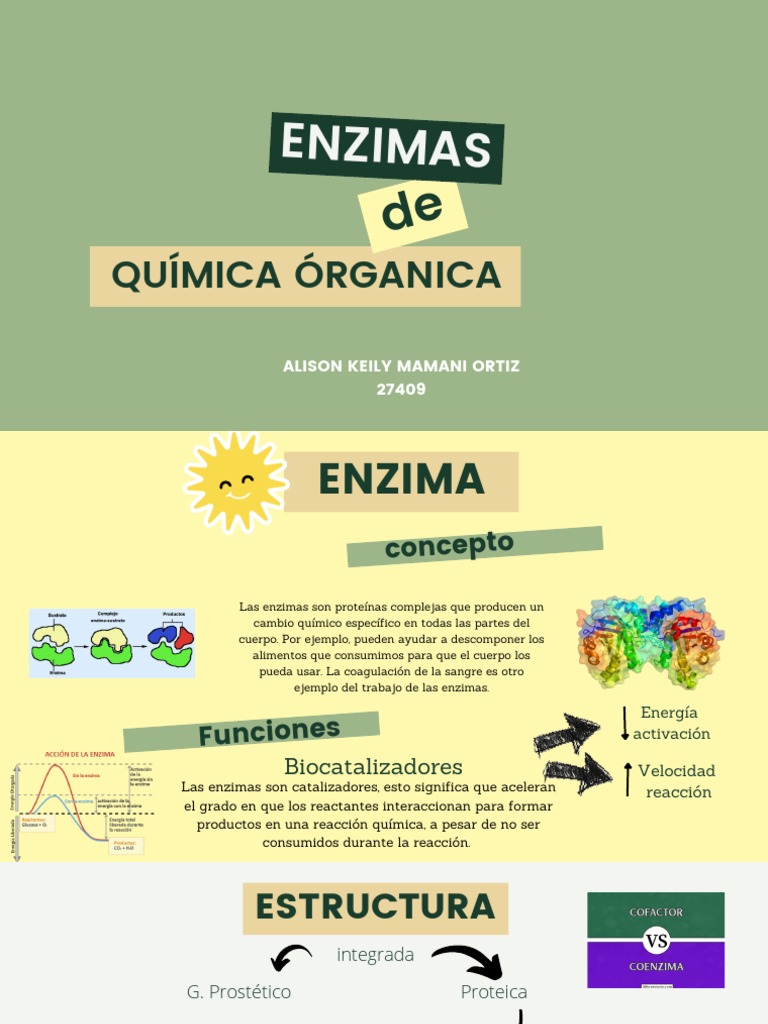 Enzima | PDF | Enzima | Cofactor (Bioquímica)