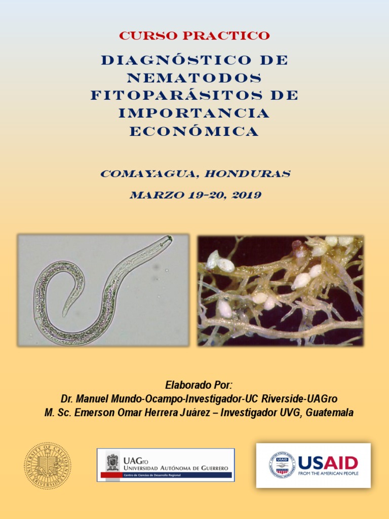 Manual Diagnóstico Nemátodos 2019 | PDF | Términos anatómicos de ubicación | Nematodo
