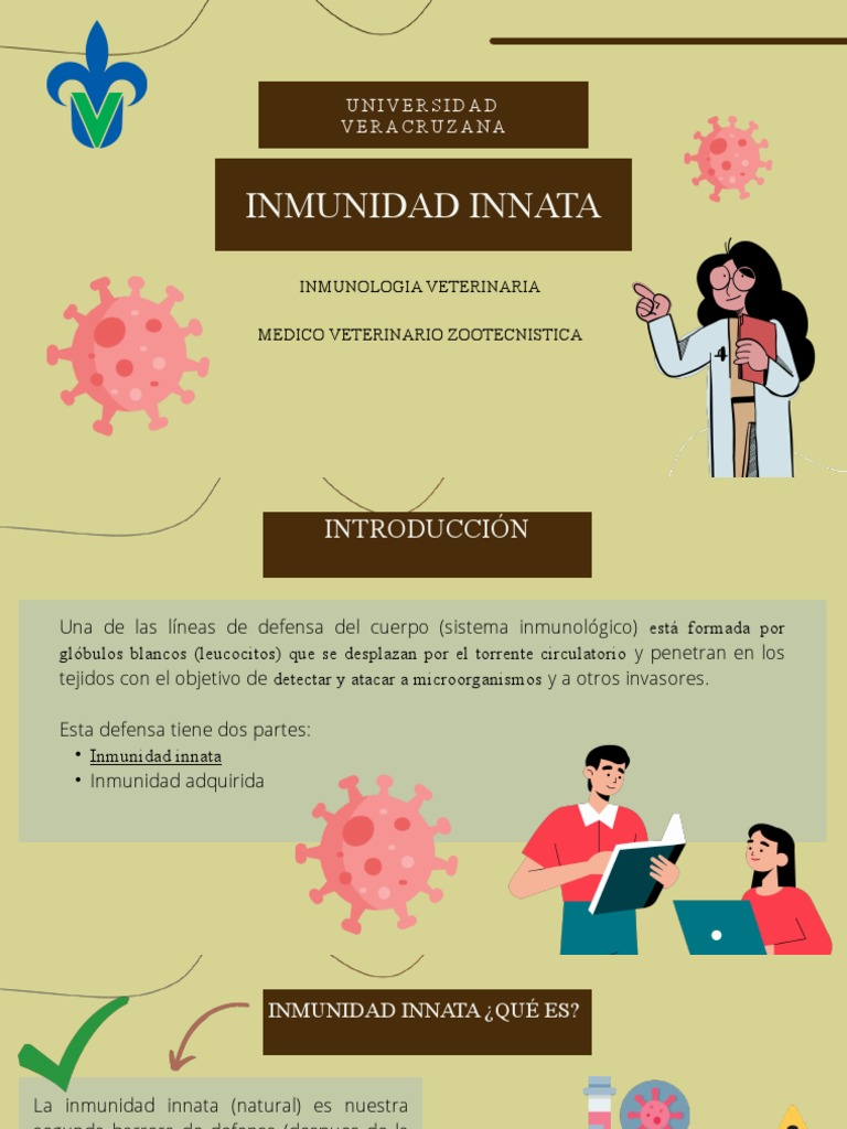 Inmunidad Innata | PDF | Sistema inmune innato | Leucocito