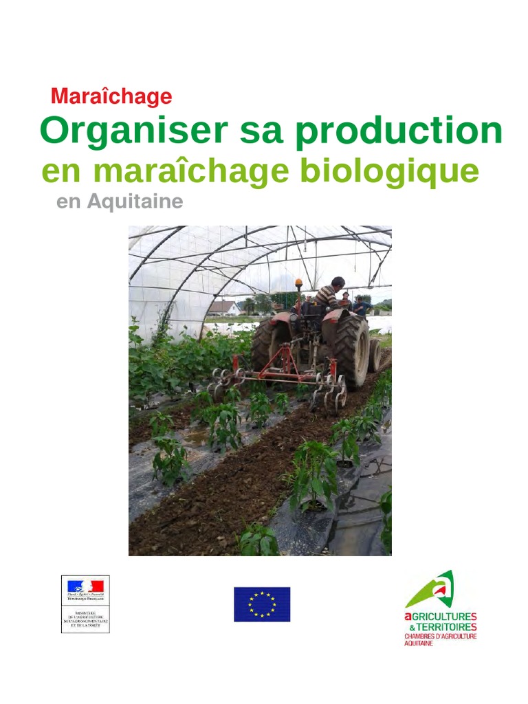 Organisation Prod Mara I Chage Bio | PDF | Légumes | Rotation culturale