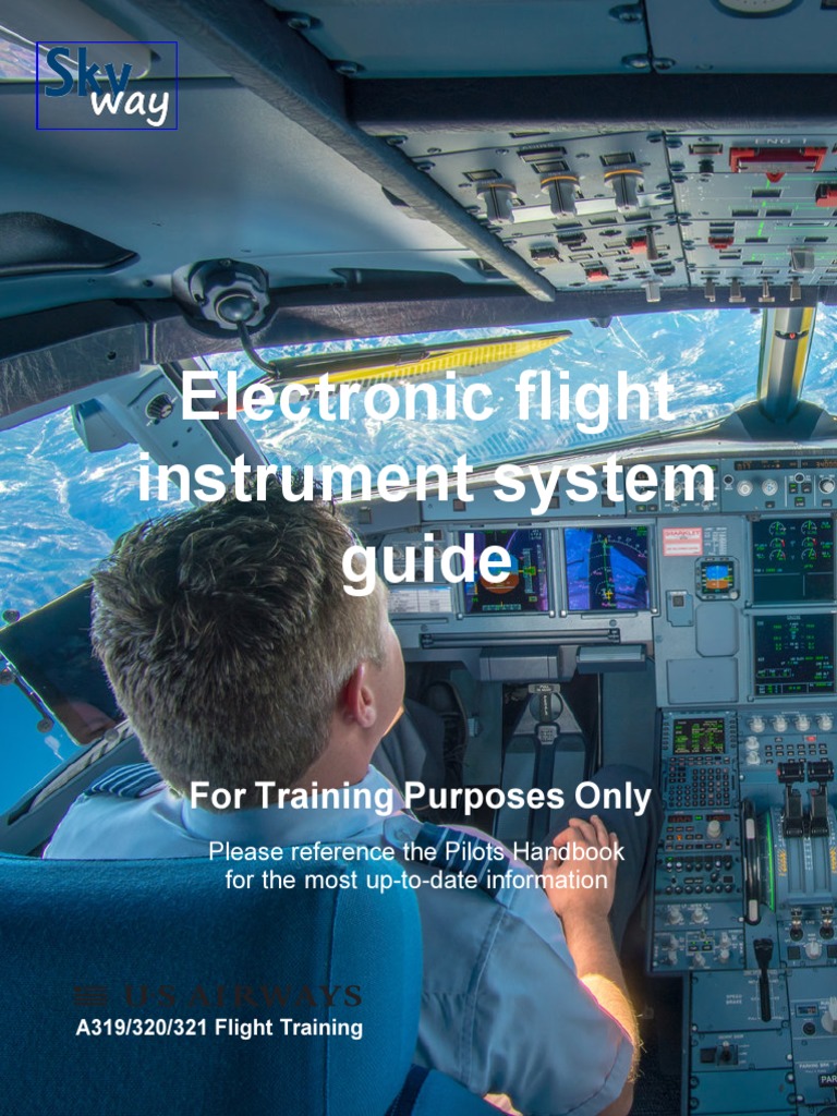 Electronic Flight Instrument System Guide: For Training Purposes Only ...