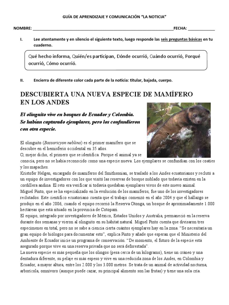 GUÍA 4° DE LENGUAJE La Noticia Texto | PDF | Ecuador