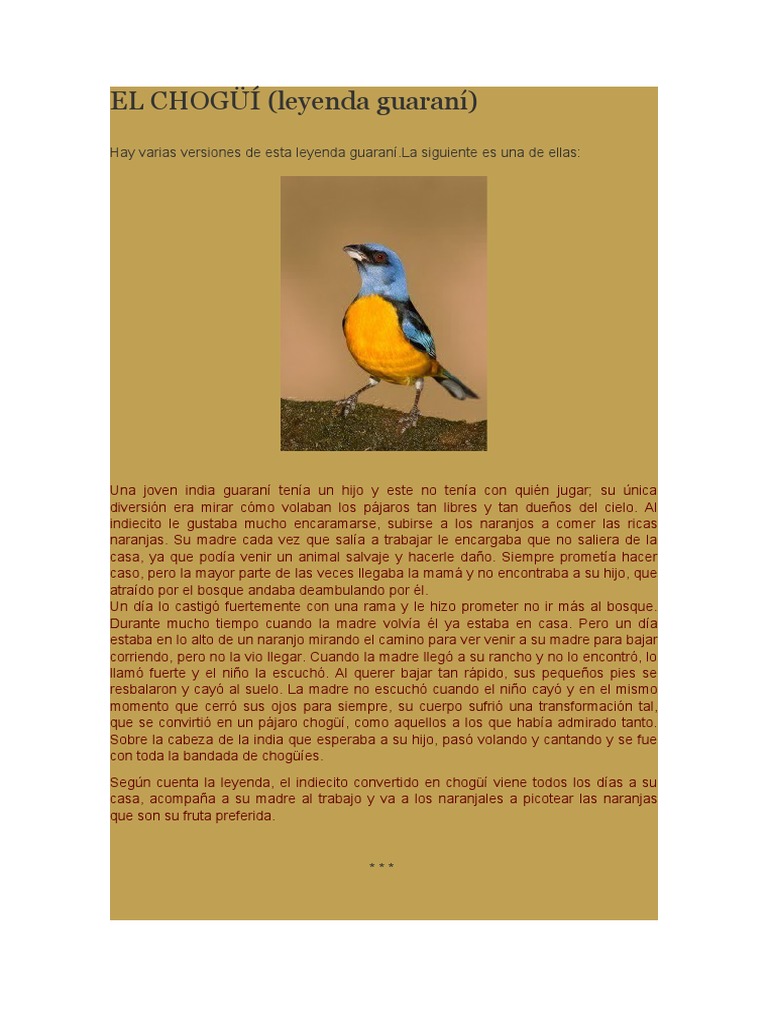 Leyenda El Chogui | PDF | Aves
