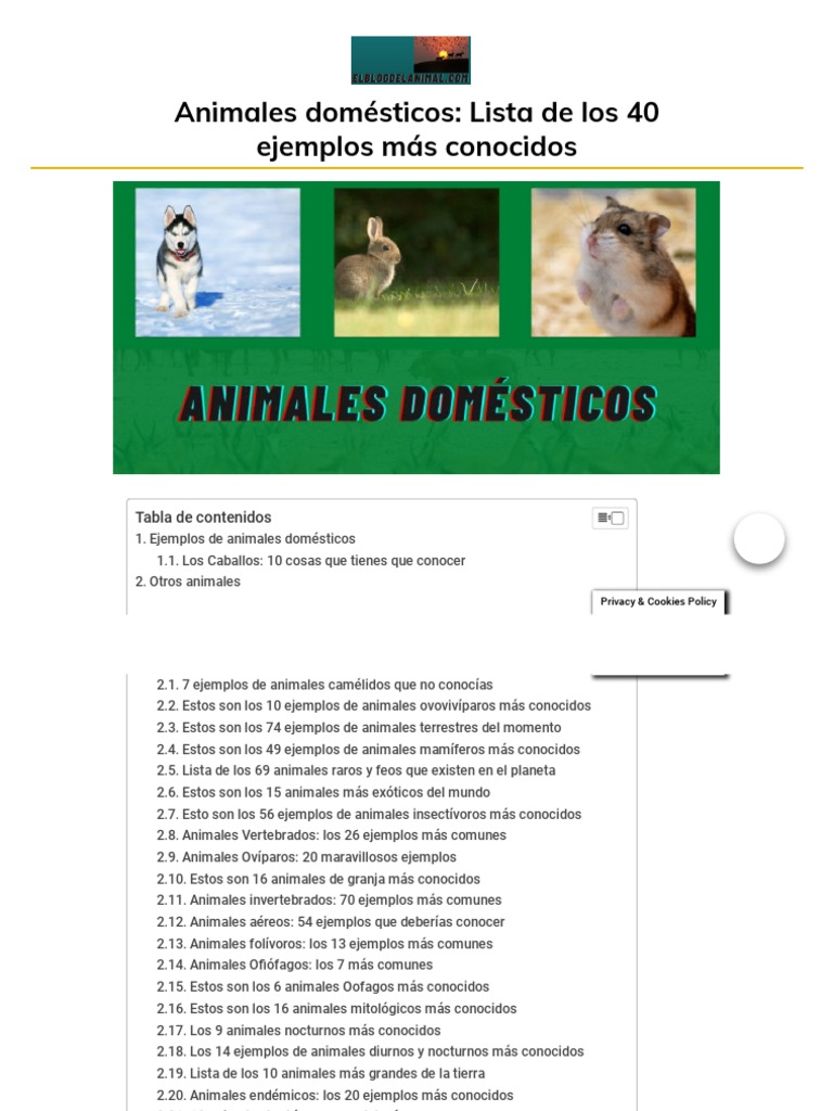 Lista De Todos Los Animales Del Mundo