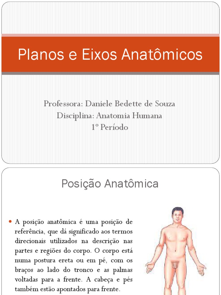 1 - Planos e Eixos Anatomicos | PDF | Anatomia | Zoologia