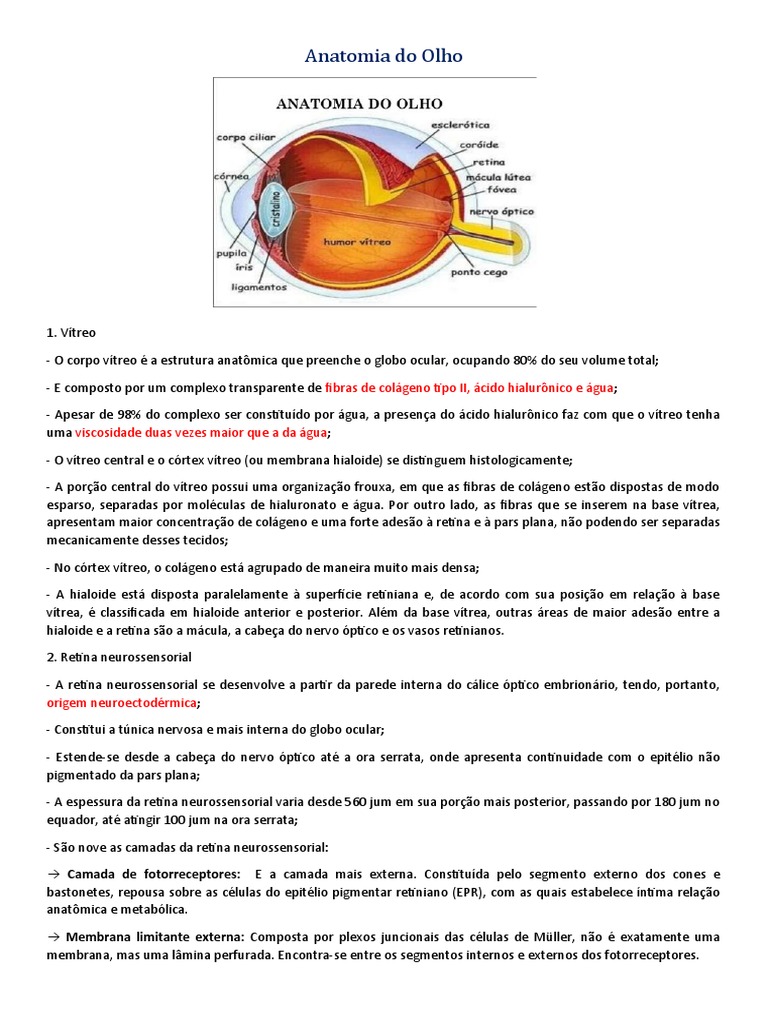 O VÍTREO O corpo vítreo é a estrutura anatômica que preenche o globo ...