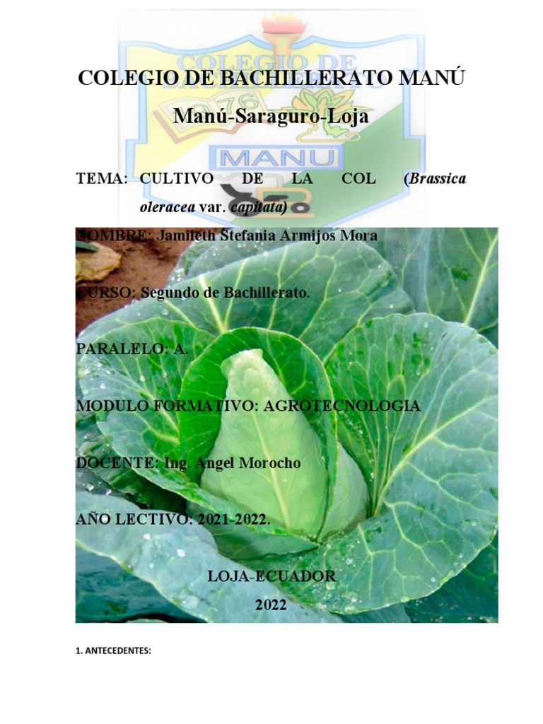 Cultivo de La Col Informe | PDF | Repollo | Agricultura