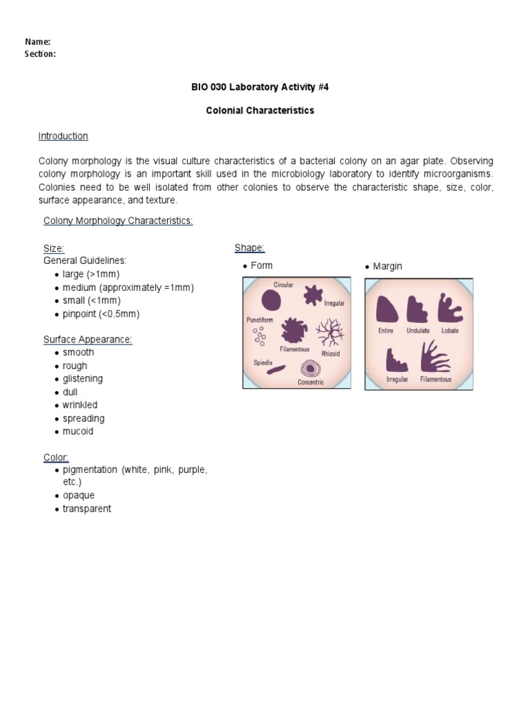 BIO 030 Lab Activity - Colonial Characteristics | PDF