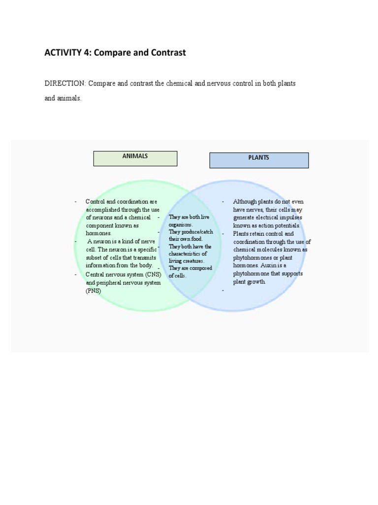 Activity 4 Compare and Contrast | PDF