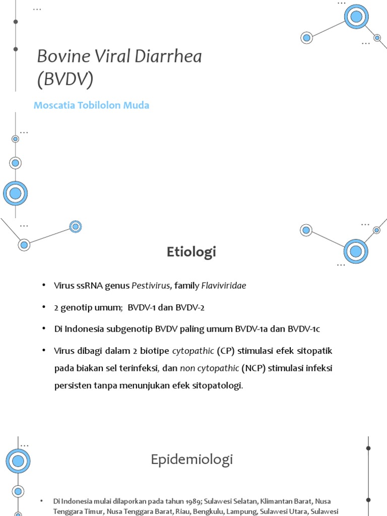 Bovine Viral Diarrhea (BVDV) : Moscatia Tobilolon Muda | PDF