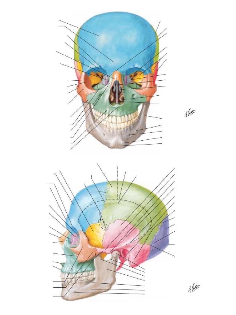 Accidentes oseos | PDF