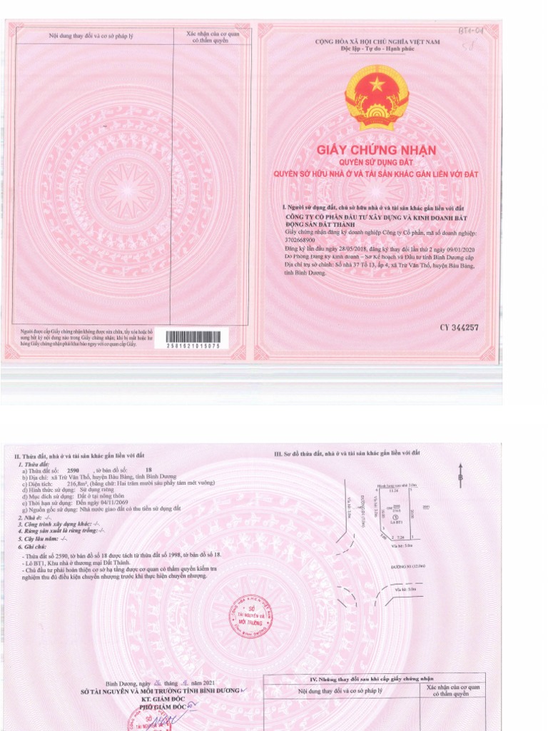 BT1 01 | PDF