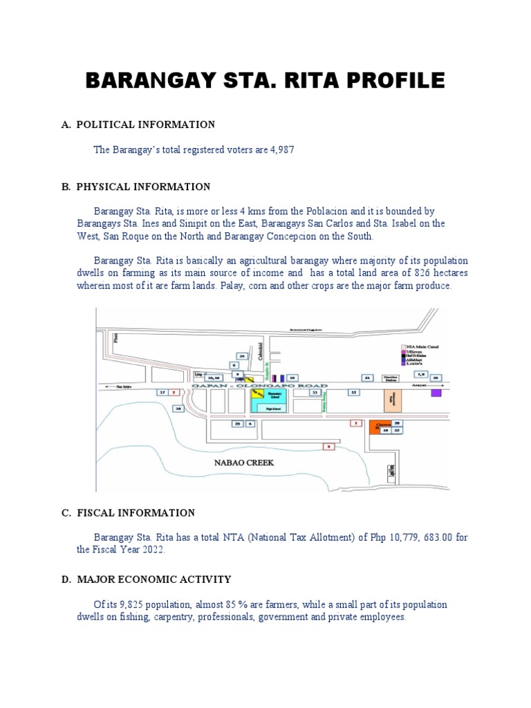 Barangay Sta. Rita Profile Overview | PDF