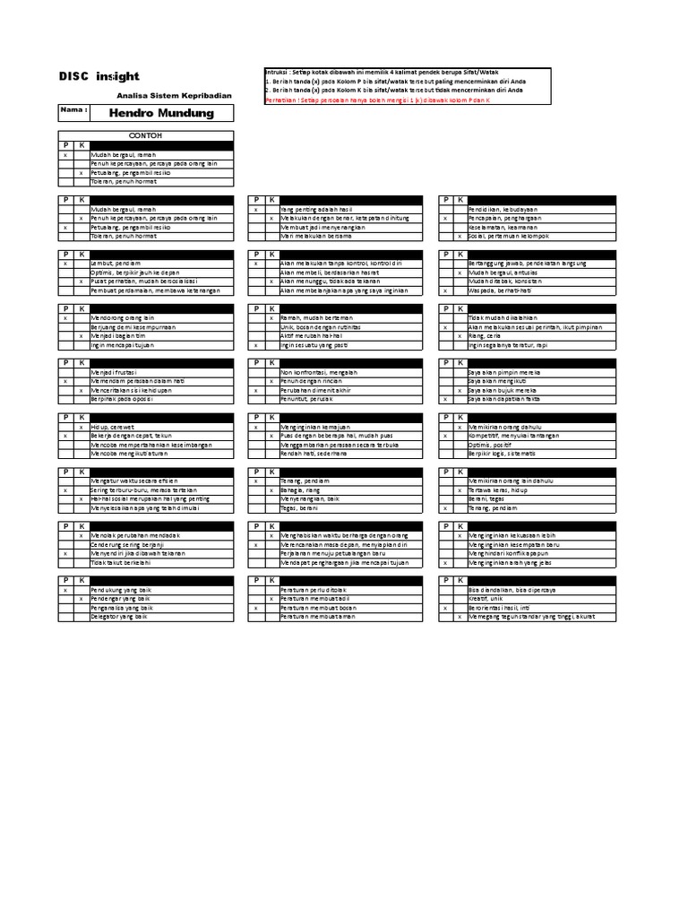 E. Test DISC Excel | PDF