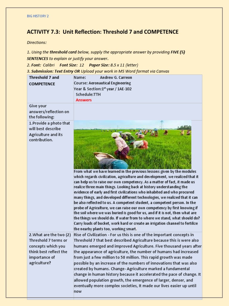 ACTIVITY 7.3 Unit Reflection - CarreonAndrewG. | PDF | Globalization | Human