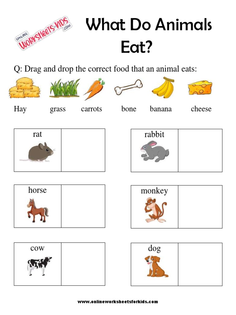 What Do Animals Eat Worksheet For Grade 1-5 | PDF | Cooking, Food & Wine
