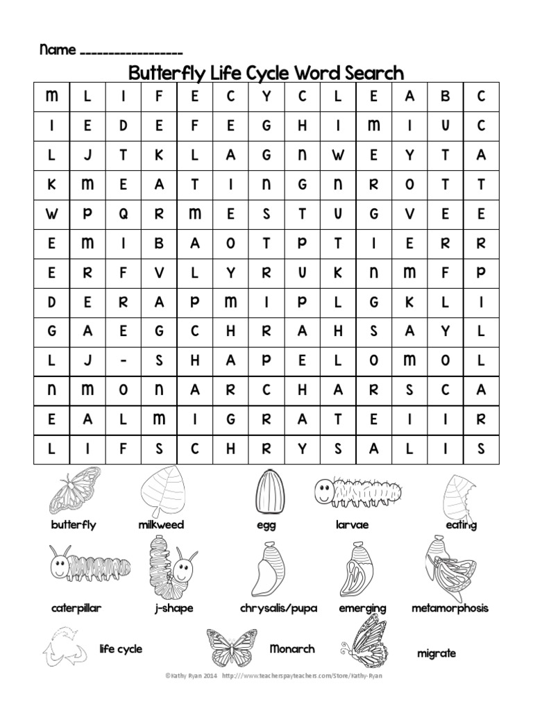 Butterfly Life Cycle Word Search: Butterfly Milkweed Egg Larvae Eating ...
