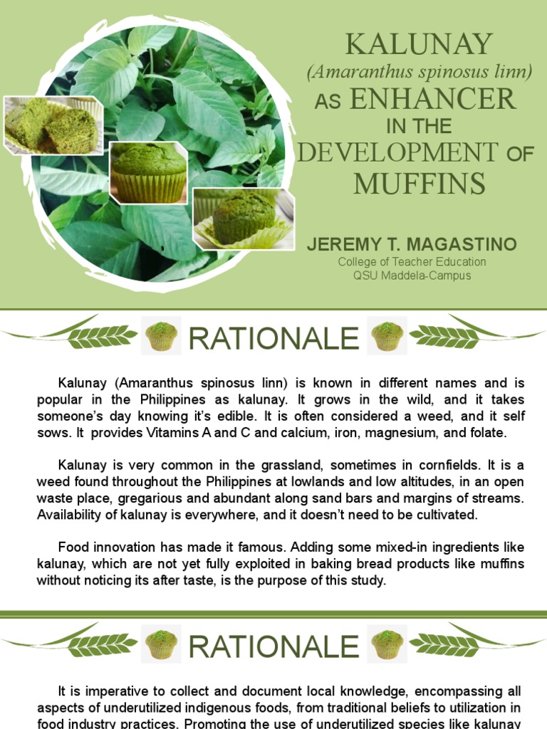 KALUNAY | PDF | Return On Investment | Experiment