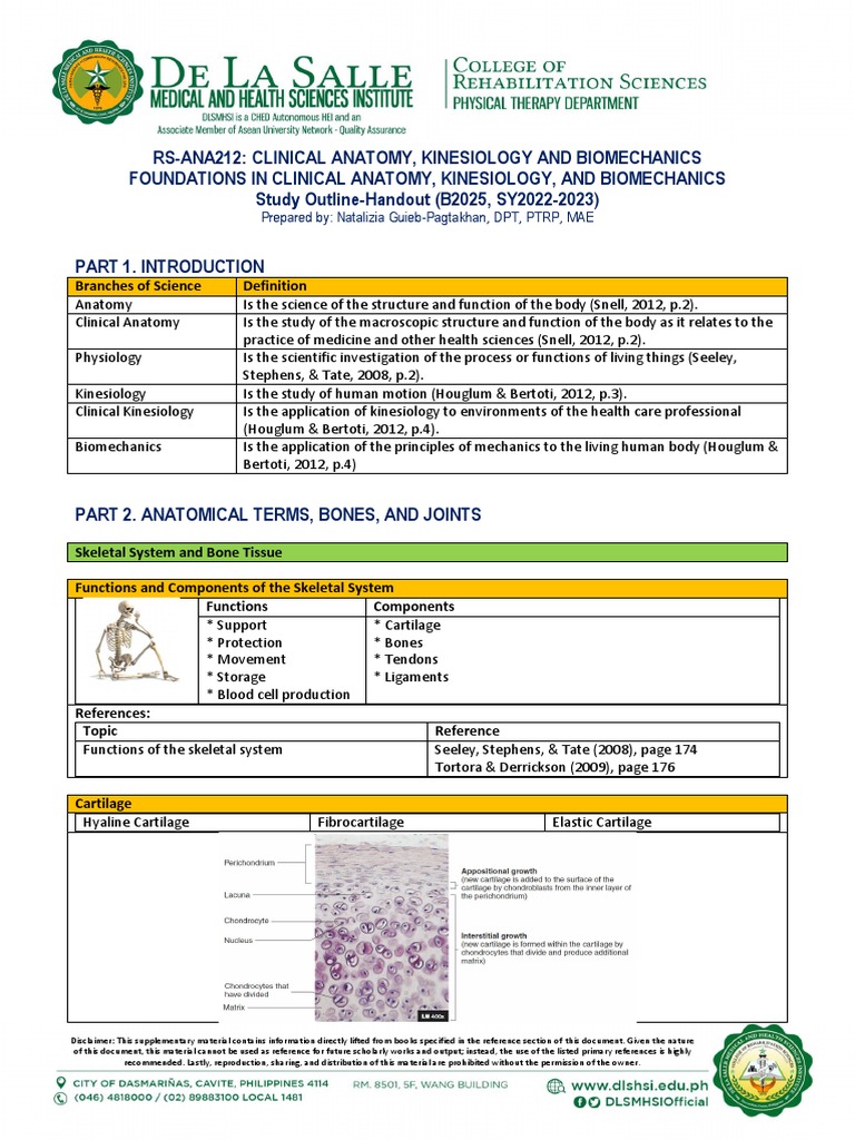 Second Year Anaphy FoundTopic StudyReviewGuide | PDF | Motor Neuron ...