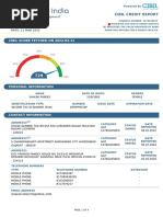Credit Report | PDF | Credit History | Credit