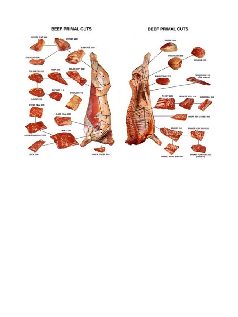 Beef Primal Cuts | PDF