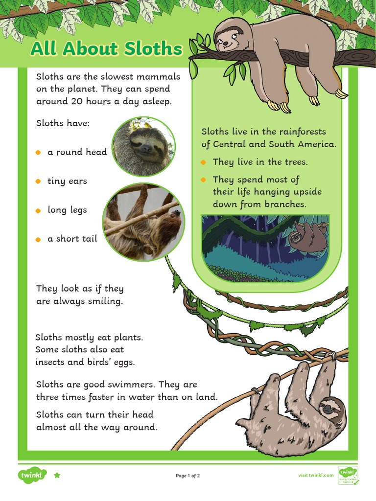 All About Sloths Reading Comprehension | PDF