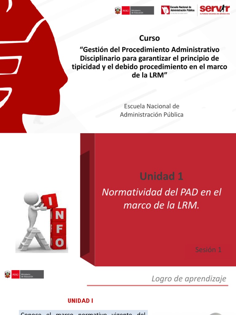 Sesión 1 Curso PAD - LRM | PDF | El proceso de destitución | Maestros