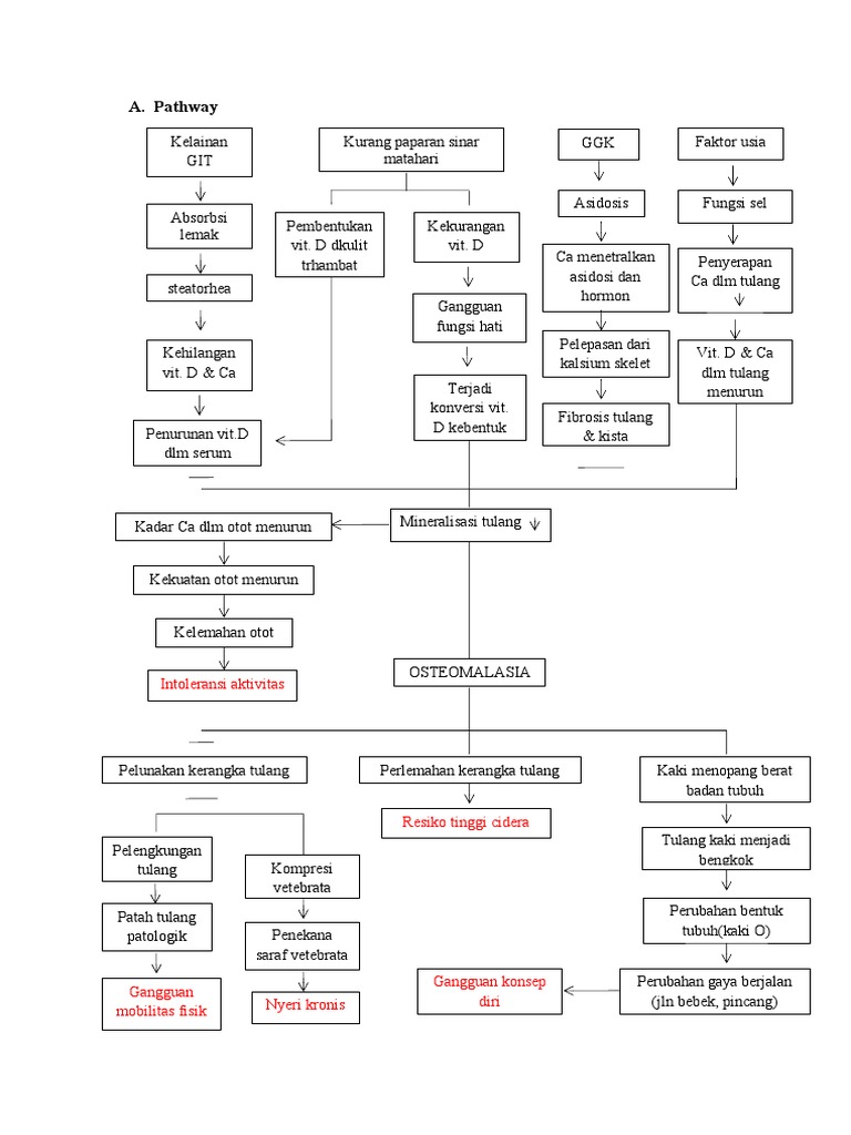 Patofisiologi Osteomalasia dan Dampaknya | PDF