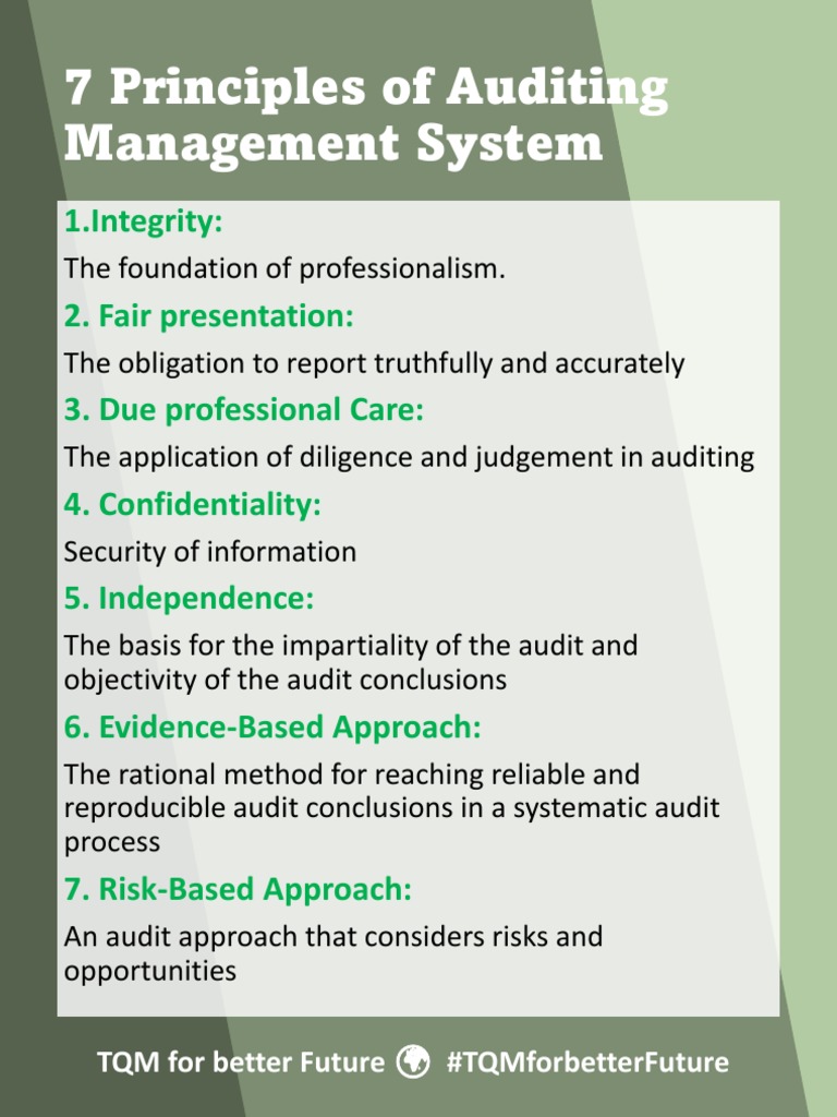7 Principles of Auditing Management Systems | PDF