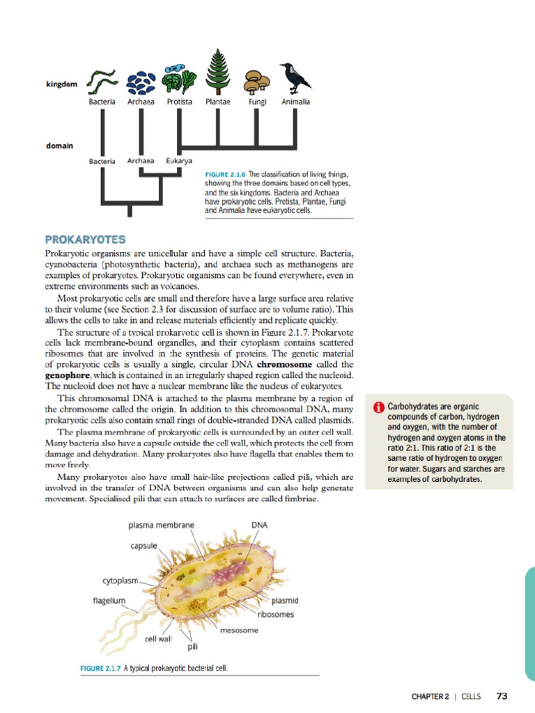 Heinemann Biology | PDF