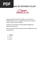 Catalogo Carta Coloraciones Wella-Int | PDF | Color | Sistema visual