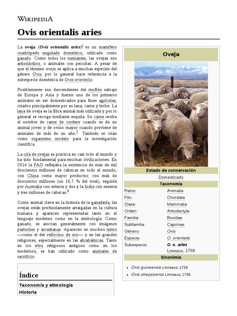 Ovis Orientalis Aries | PDF | Oveja | Carne